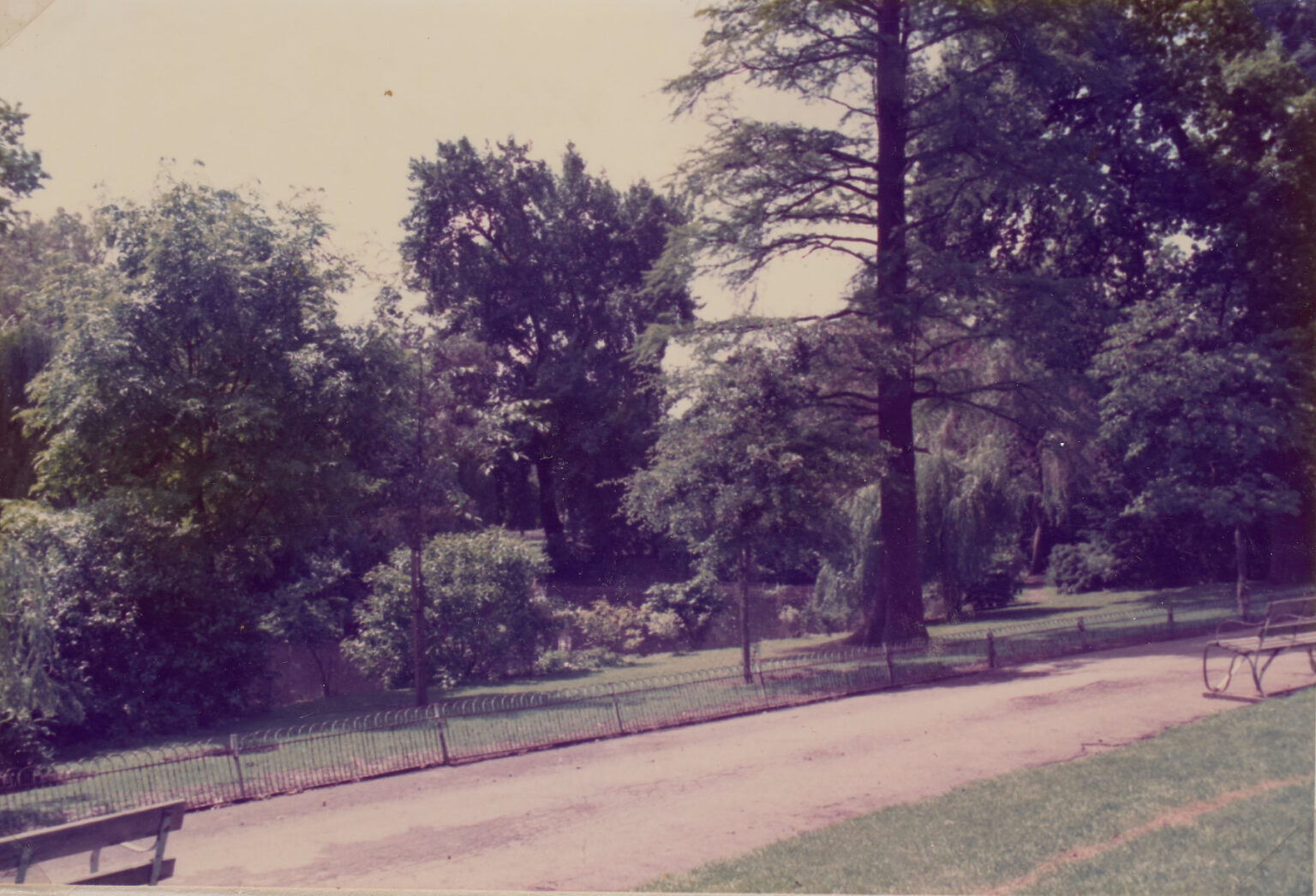 Gallery – Lee Manor Society