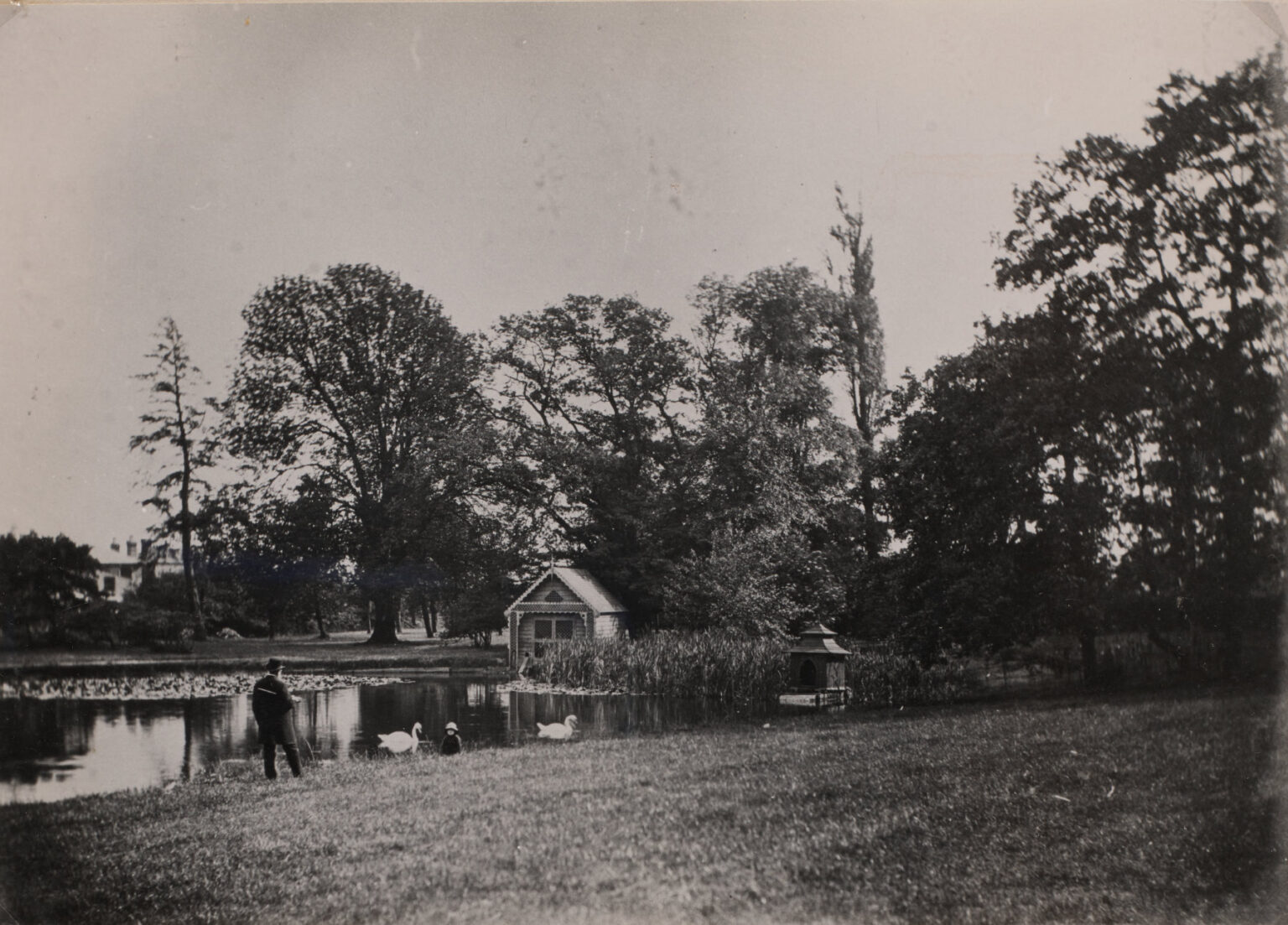 Gallery – Lee Manor Society