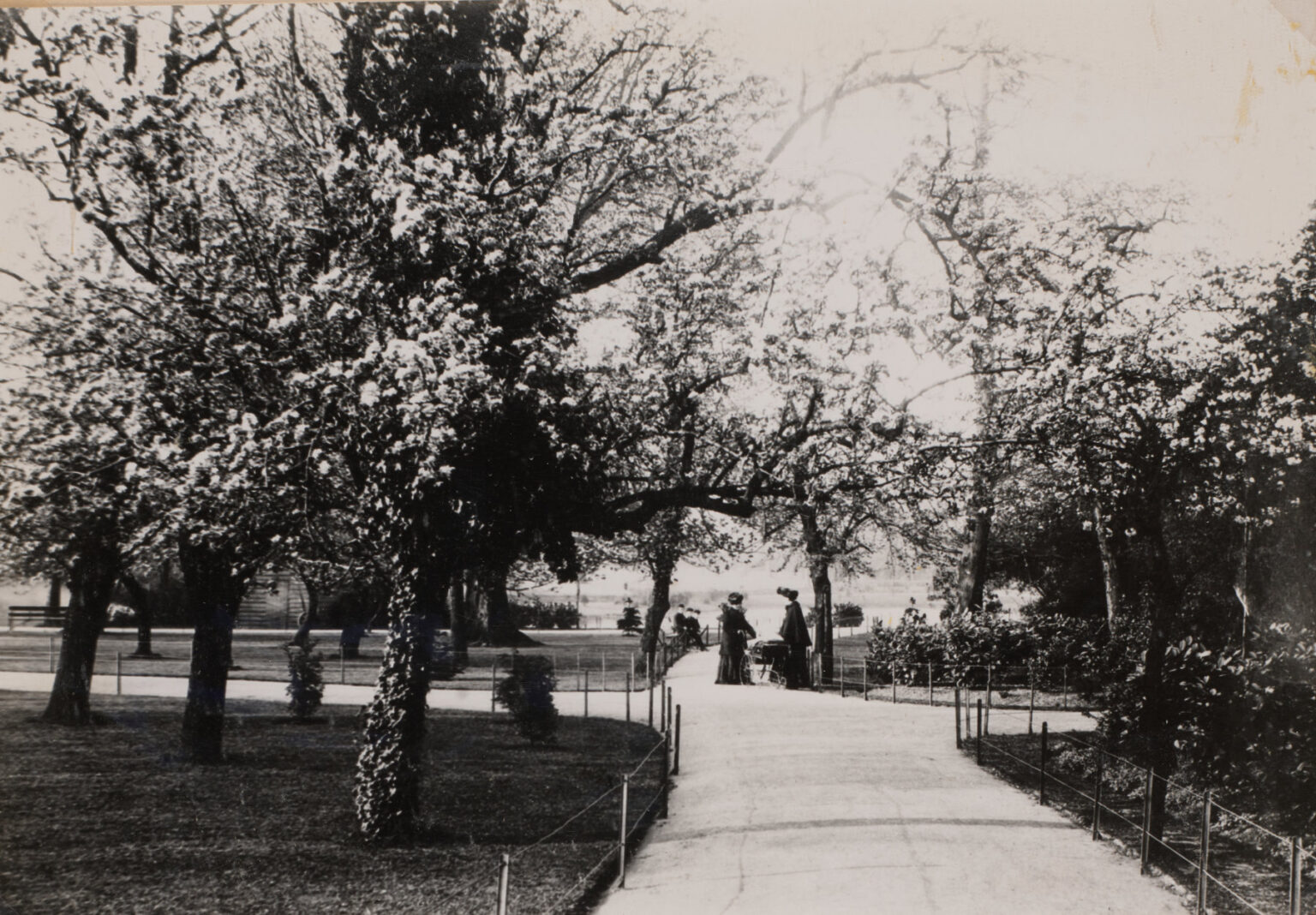 Gallery – Lee Manor Society