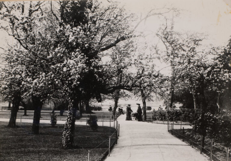 Gallery – Lee Manor Society