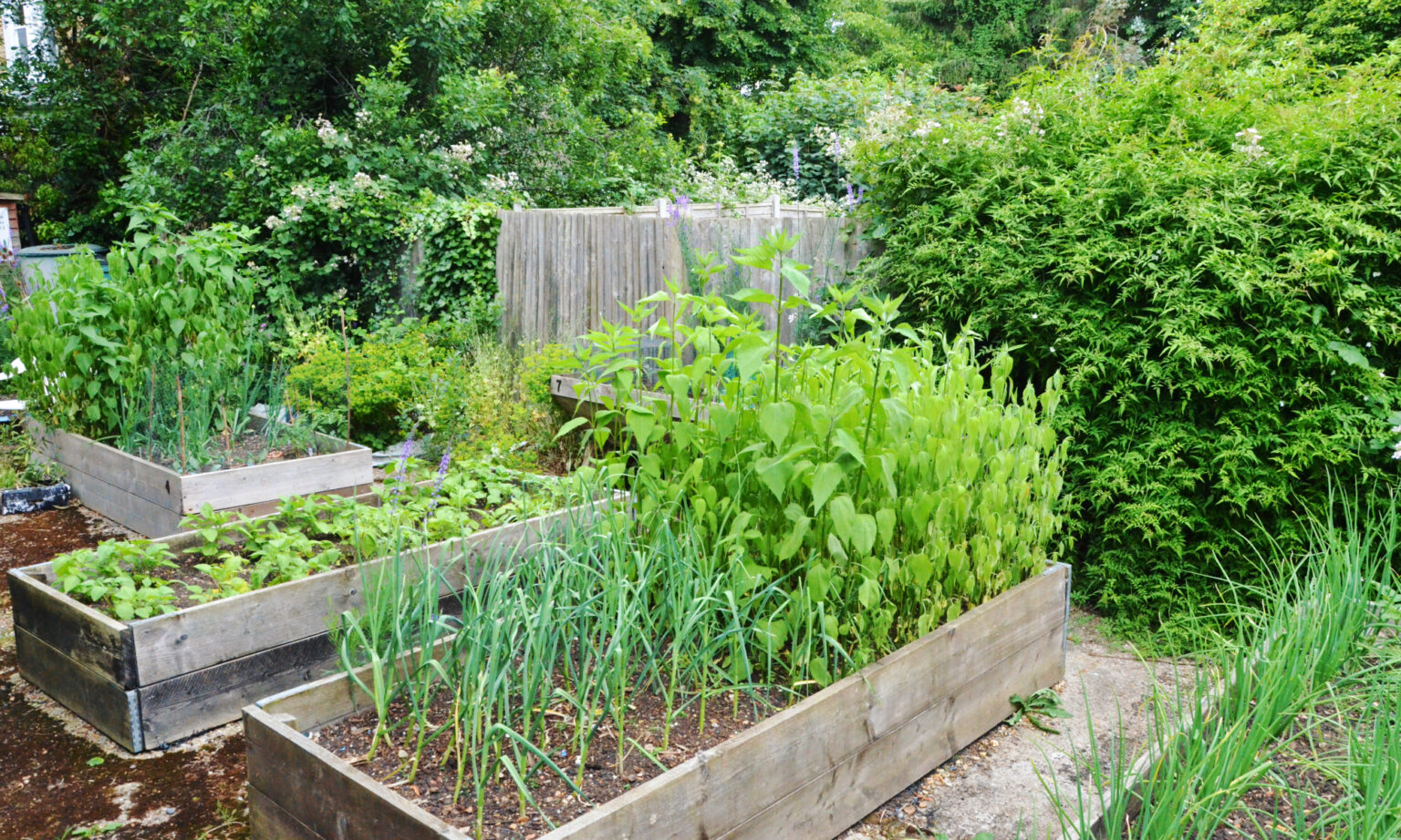 News – Lee Manor Society