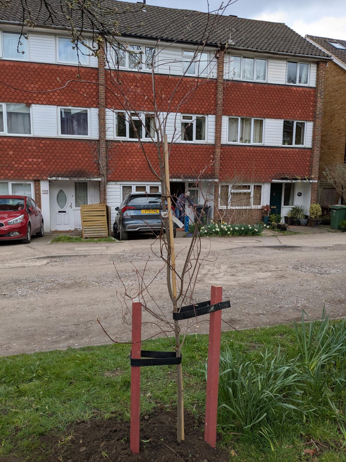 Gallery – Lee Manor Society