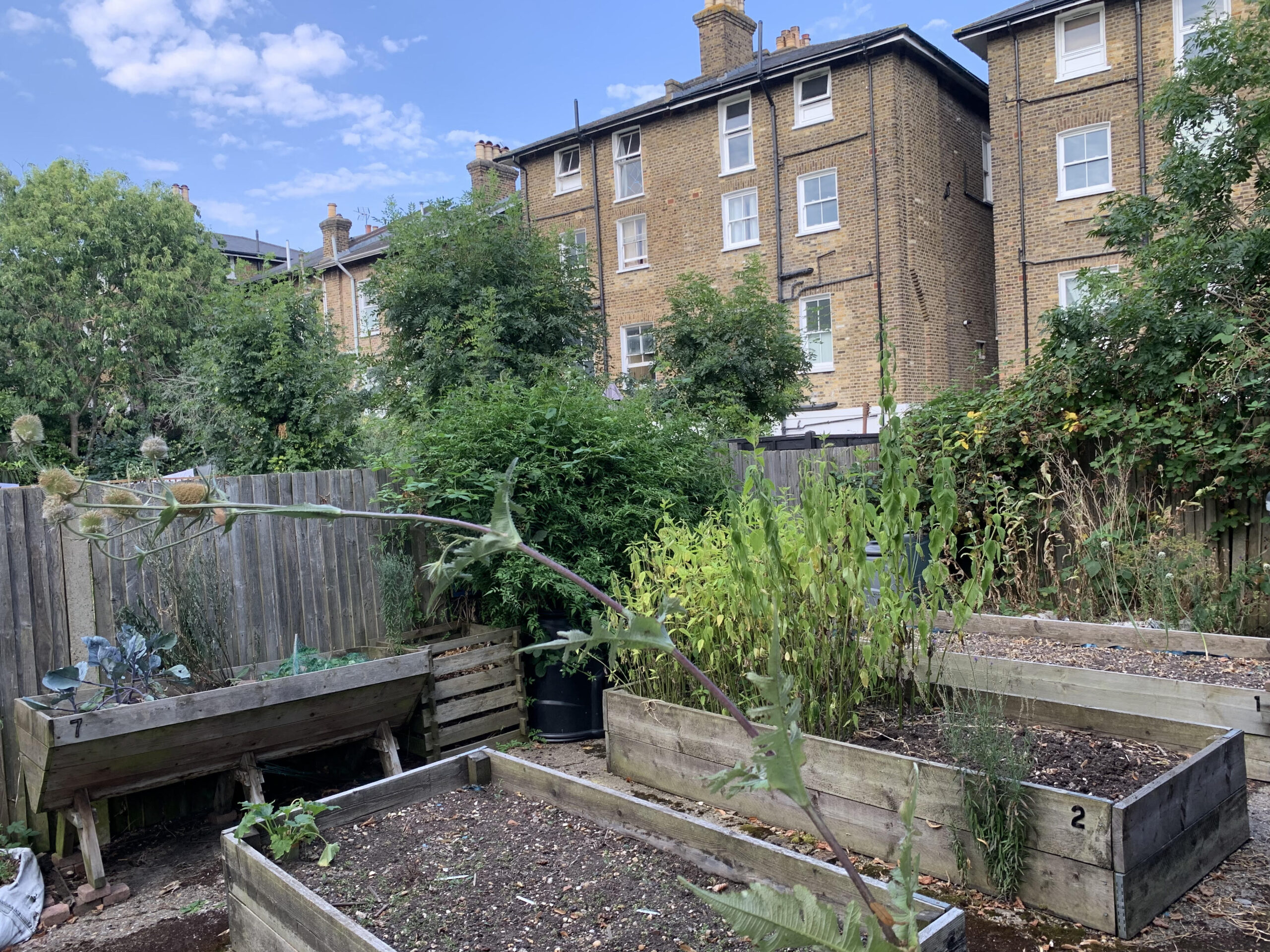 Community Garden – new session dates – Lee Manor Society