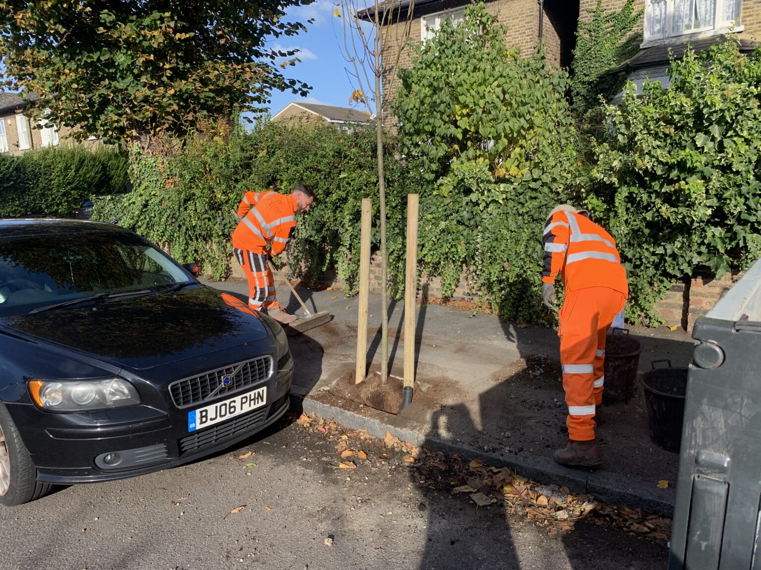 Southbrook Road trees start going in – Lee Manor Society