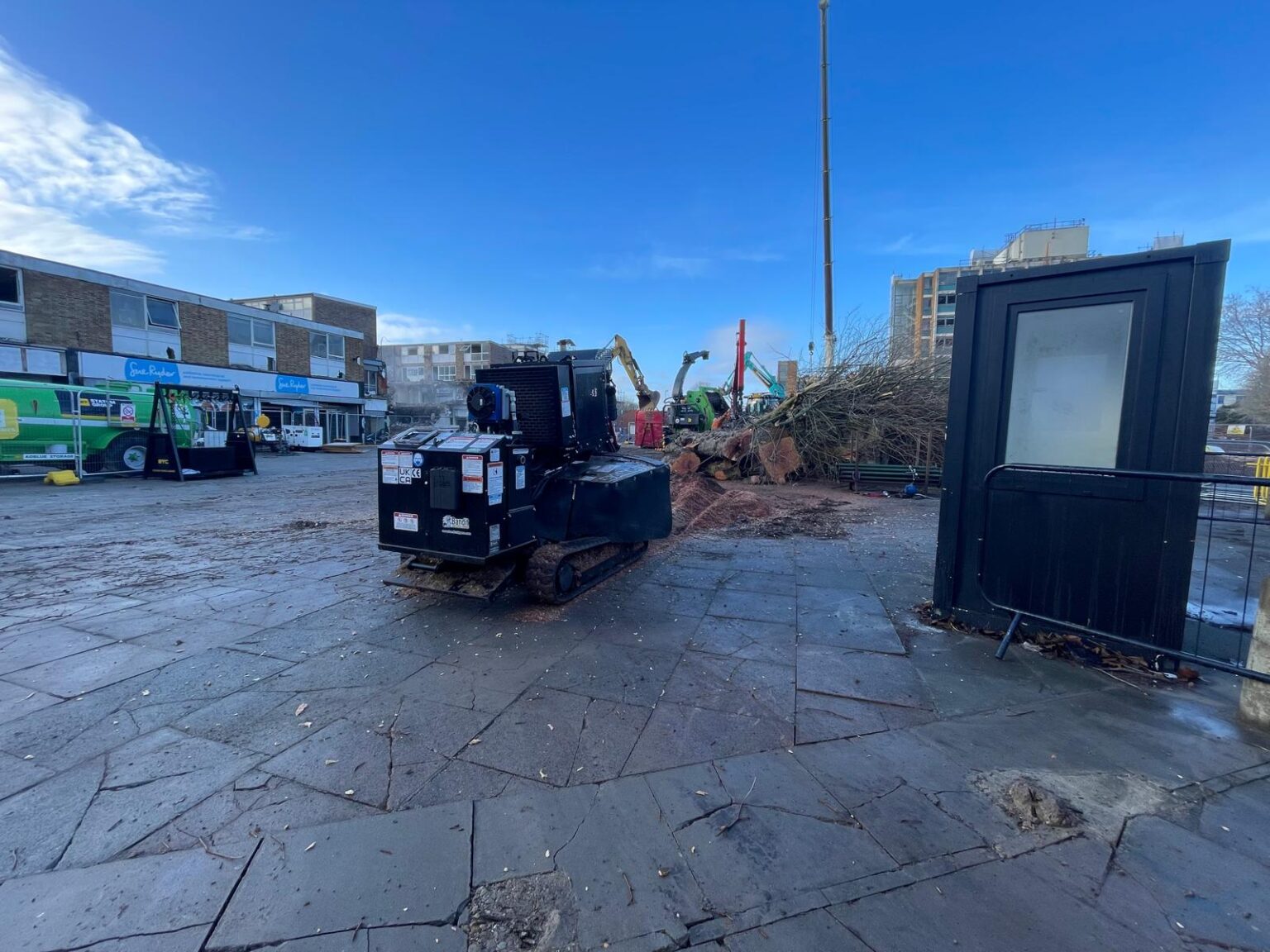 Felled. London planes at Leegate have been taken down – Lee Manor Society